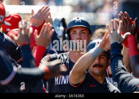 Minnesota Twins Mickey Gasper (11) at bat during an MLB Spring Training ...