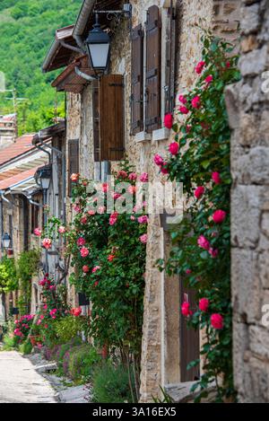 France, Ain Plaine de l'Ain, the medieval village of Pérouges, awarded ...