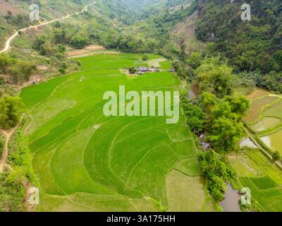 Vietnam, Upper Tonkin, Cho Ra region, rice fields (aerial view Stock ...