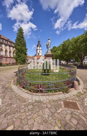Market Square with Count Franz Monument, Town Hall and Town Church ...