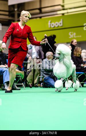 Birmingham, UK. 07th Mar, 2025. noel fitzpatrick book signing at crufts ...