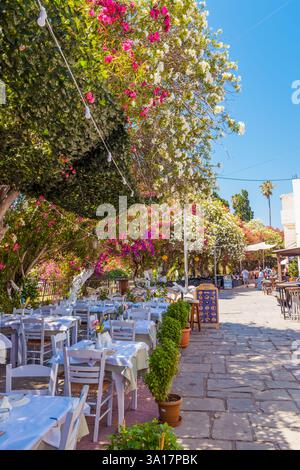 Beautiful street in Kos town Stock Photo - Alamy