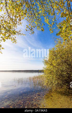 Trees on Lake Plau in the town of Plau am See Stock Photo - Alamy