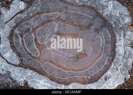Ice structures in a puddle of water, Rhineland-Palatinate, Germany ...