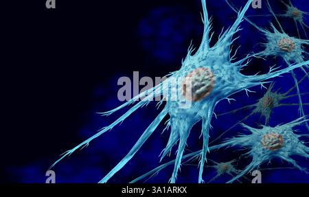 Fibroblast Cell Anatomy as the structure and components of fibroblasts ...