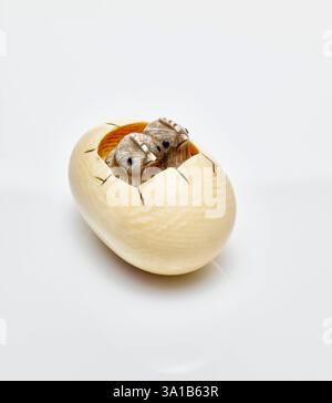 Netsuke of Bird 19th century Japan. Netsuke of Bird. Japan. 19th ...