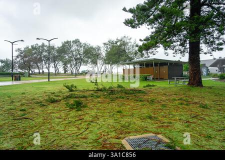 Gold Coast, QLD, Australia - Mar 8, 2025: Cyclone Alfred aftermath in ...