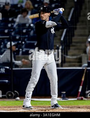 New York Yankees outfielder Cody Bellinger (35) hits a single during ...