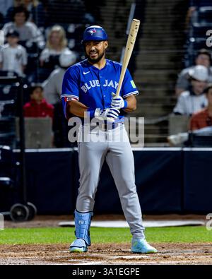 Toronto Blue Jays' Anthony Santander stands on the field during the ...