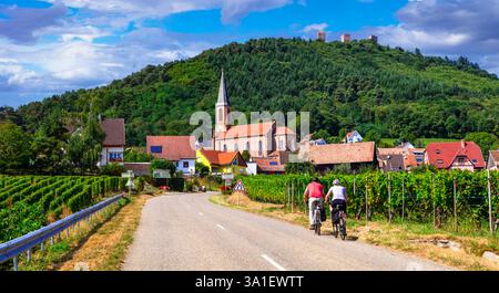 Panoramic view of the beautiful vineyards of Alsace in the fall. Bright ...