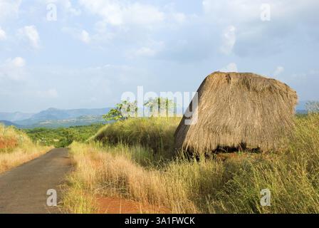 Road to Sherpe Napne waterfall ; Kharepatan ; Vaibhavwadi ; Konkan ...