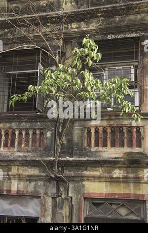 Old building Motiwala ; DR. Dadasaheb Bhadkamkar road ; Grant road ...