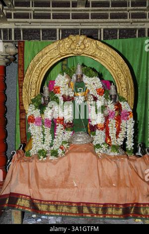 Decorated Urchava deity of lord Subrahmanya with consorts Valli and ...