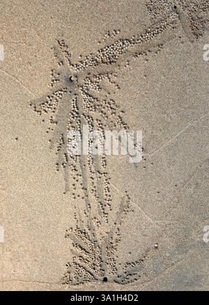 Bogmalo Beach at Goa, India, Asia Stock Photo - Alamy