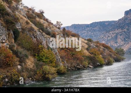 Turkey, Turkiye. Vegetation along the Riverbank of the Euphrates River ...