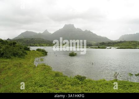 Mountain chanderi in monsoon, Taluka Panvel district Raigadh ...