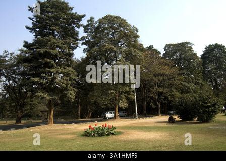 Sir Dorabji Tata park in Jamshedpur, Bihar, India, Asia Stock Photo - Alamy