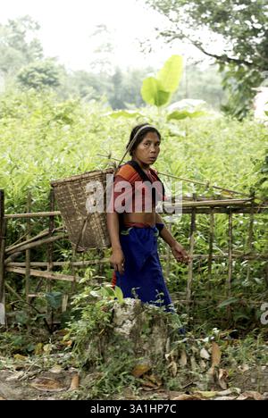 Rural women walking, Diyun, Arunachal Pradesh, India, Asia Stock Photo ...