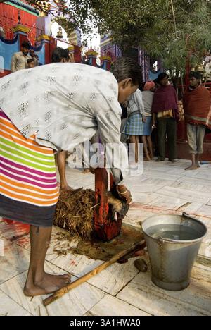 Religious sacrifice of goat at Rajrappa temple and Maa Chhinna Mastika ...