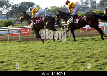 Horse races at Mahalaxmi Race course, Bombay Mumbai, Maharashtra, India ...
