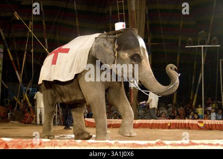 Elephant performing show in Empire Circus, Bombay Mumbai, Maharashtra ...