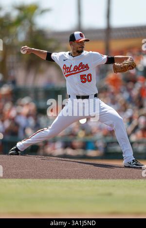 Baltimore Orioles pitcher Charlie Morton throws during the fifth inning ...