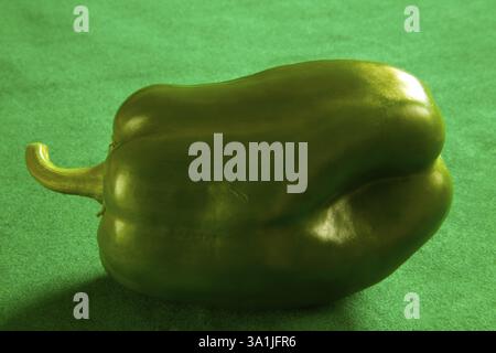 Vegetable, Spice, Green Capsicum, Shimla Mirch (Capsicum annuum Stock ...