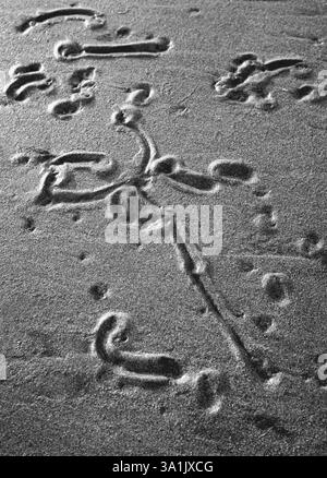 Sand surface, Porbandar area of Gujarat, India, Asia Stock Photo - Alamy
