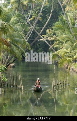Boating in backwater, Kerala, India, Asia Stock Photo - Alamy