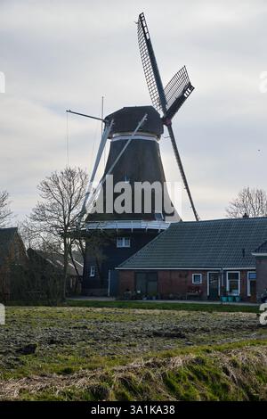 Historic hulling and grist mill De Hoop in Holwerd, Friesland, with ...