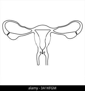Female reproductive uterus of continuous single line art drawing and ...