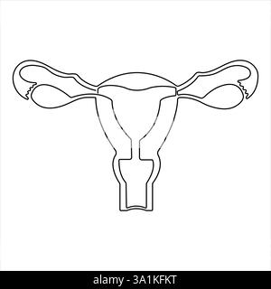Female reproductive uterus of continuous single line art drawing and ...