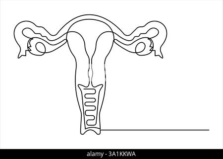 Female reproductive system. Doodle internal organ. Vector illustration ...