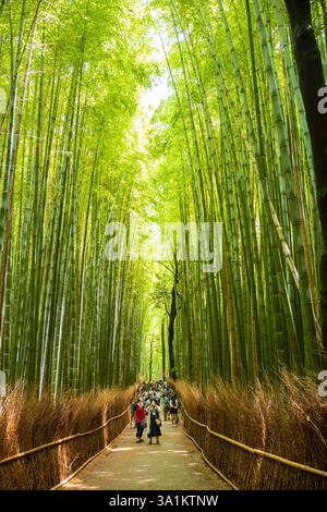 Arashiyama, Kyoto / Japan - June 21, 2018: A beautiful Japanese woman ...