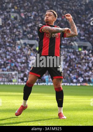 Bournemouth's Marcus Tavernier celebrates scoring their side's first ...