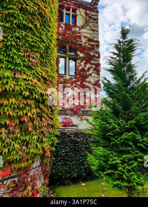 Beautiful formal garden at Coombe Abbey Country Park Stock Photo - Alamy