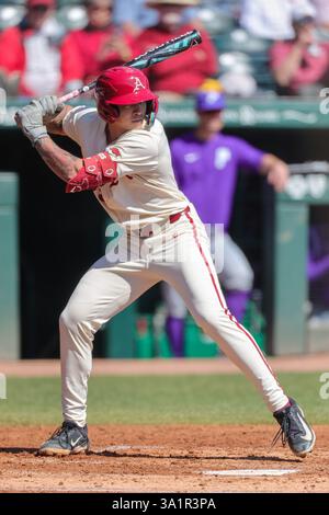 March 1, 2025: Razorback designated hitter Kuhio Aloy (25) looks to put ...