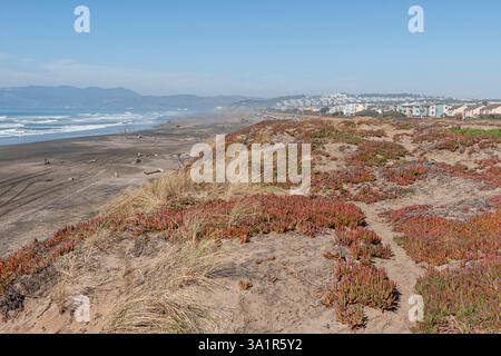 The beach by Lower Great Highway Park, Outer Sunset Stock Photo - Alamy