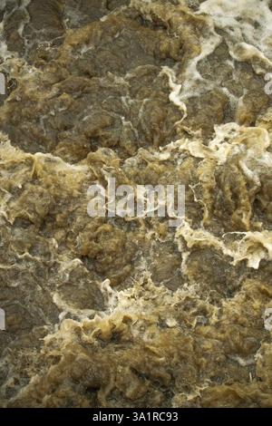 Local flood waters in Brisbane, Queensland after heavy rain caused by ...