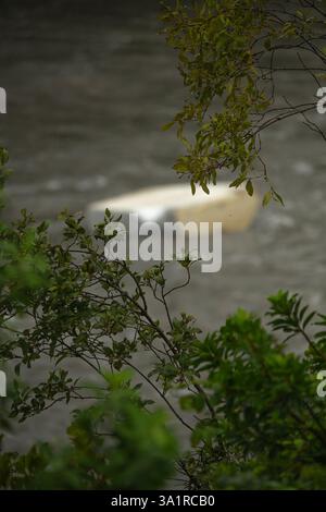 Local flood waters in Brisbane, Queensland after heavy rain caused by ...