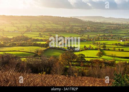 Autumn colour in the Culm Valley from Culmstock Beacon in the Blackdown ...