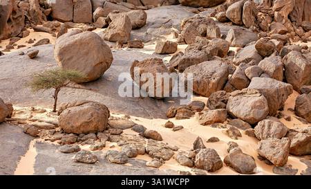 The Rocks and Gorge of the Sahara Desert in Algeria Stock Photo - Alamy