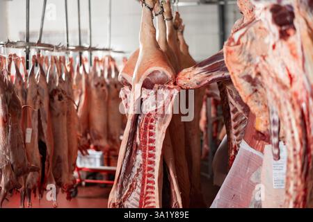 Raw carcasses of beef, pork and lambs hanging in butchery Stock Photo ...