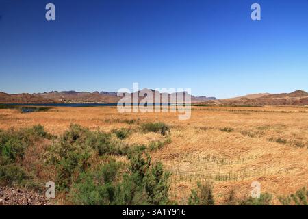 Bill Williams River Wildlife Refuge near Lake Havasu City, Arizona ...