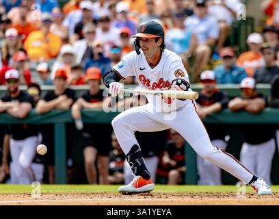 Baltimore Orioles outfielder Dylan Beavers (12) jogs off the field ...