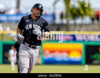 New York Yankees' Paul Goldschmidt (48) celebrates with New York ...