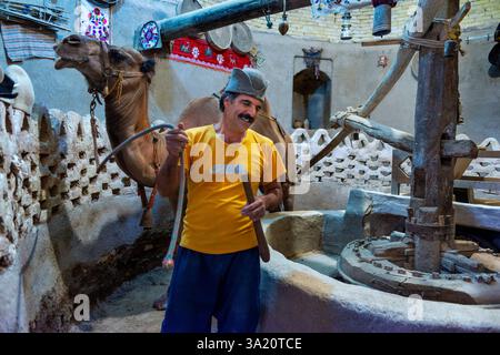 View on historical camel mill by village of Varzaneh in Iran Stock ...