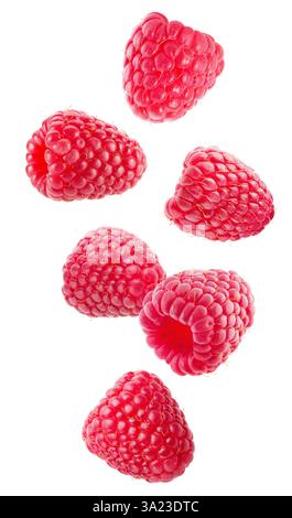Falling red raspberries isolated on white background Stock Photo - Alamy
