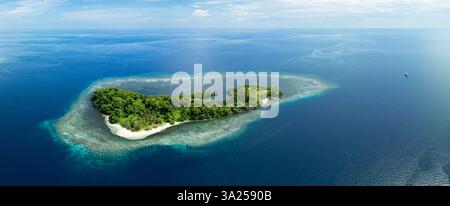 Coral reef off the coast of Sulawesi Indonesia Stock Photo - Alamy