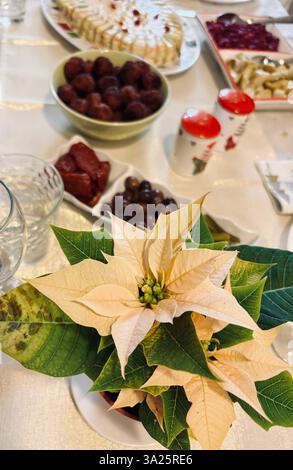 Beautiful poinsettia with christmas balls on Christmas lights ...